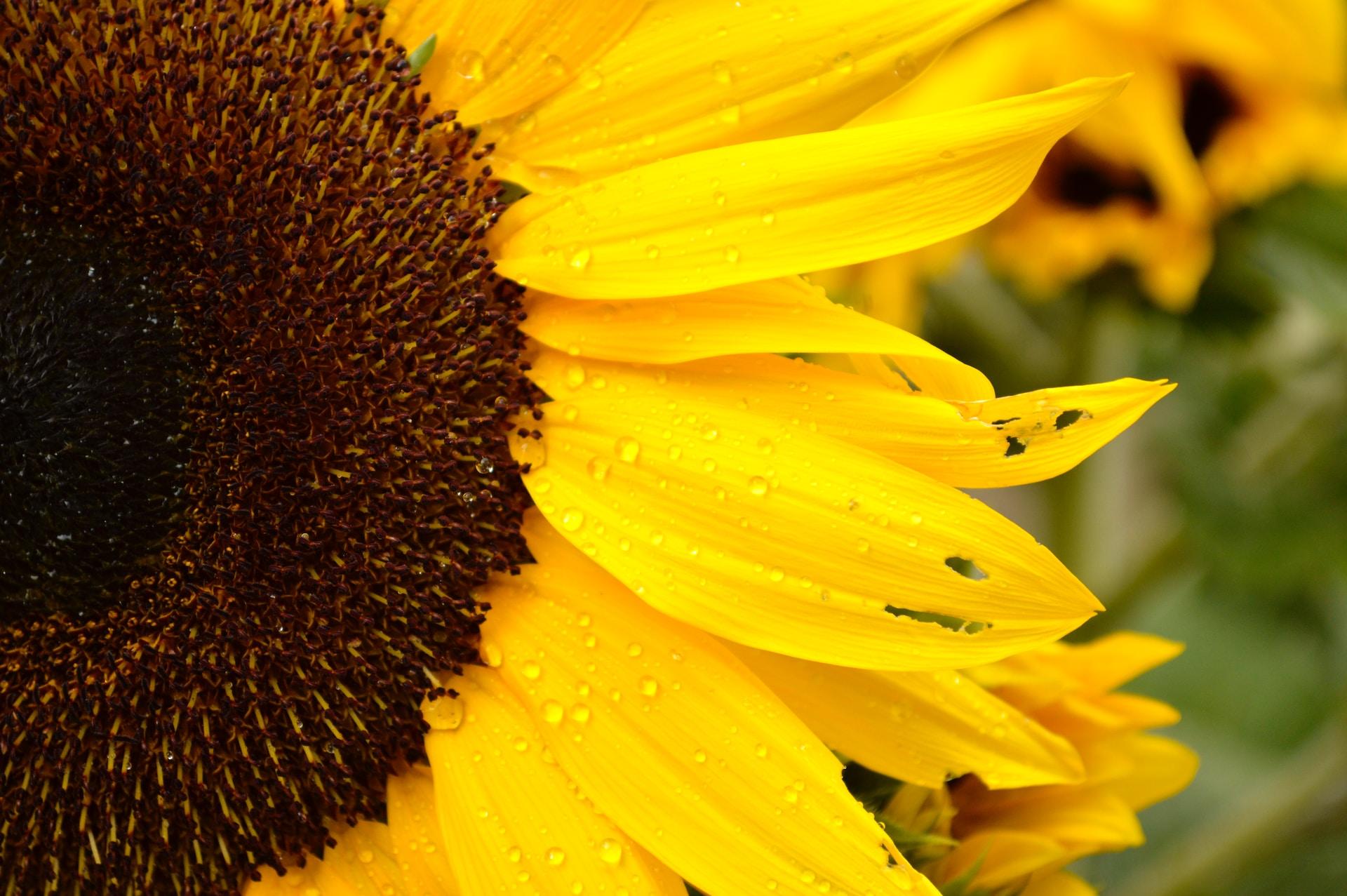 Top 30 Imperfect Things That Are Beautiful - BitGlint