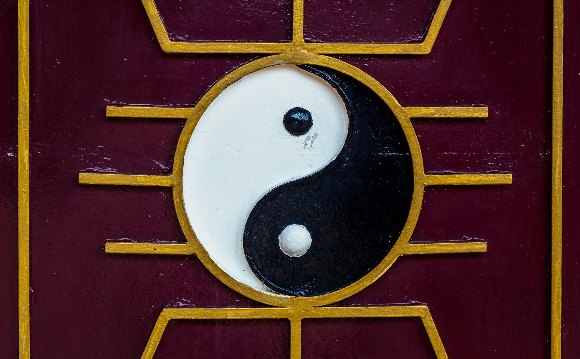 30 Best Yin Yang Examples & Definition - BitGlint