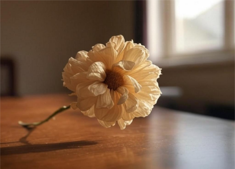 30 Resentment Examples & Definition - BitGlint